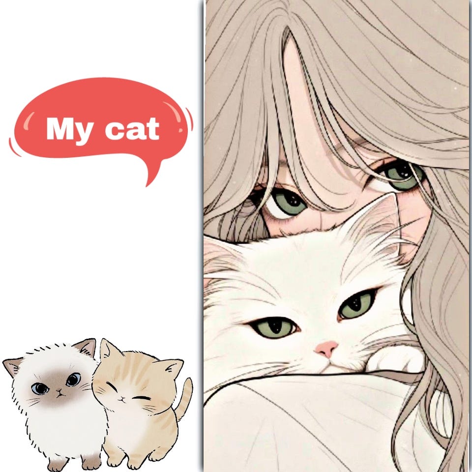 Why Cats Are So Cute !! | by Anaya Alee | Feb, 2025 | Medium