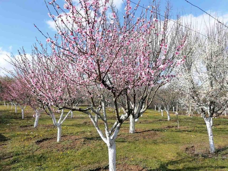 The Taste Of Home - Danaya Bogdanova - Medium