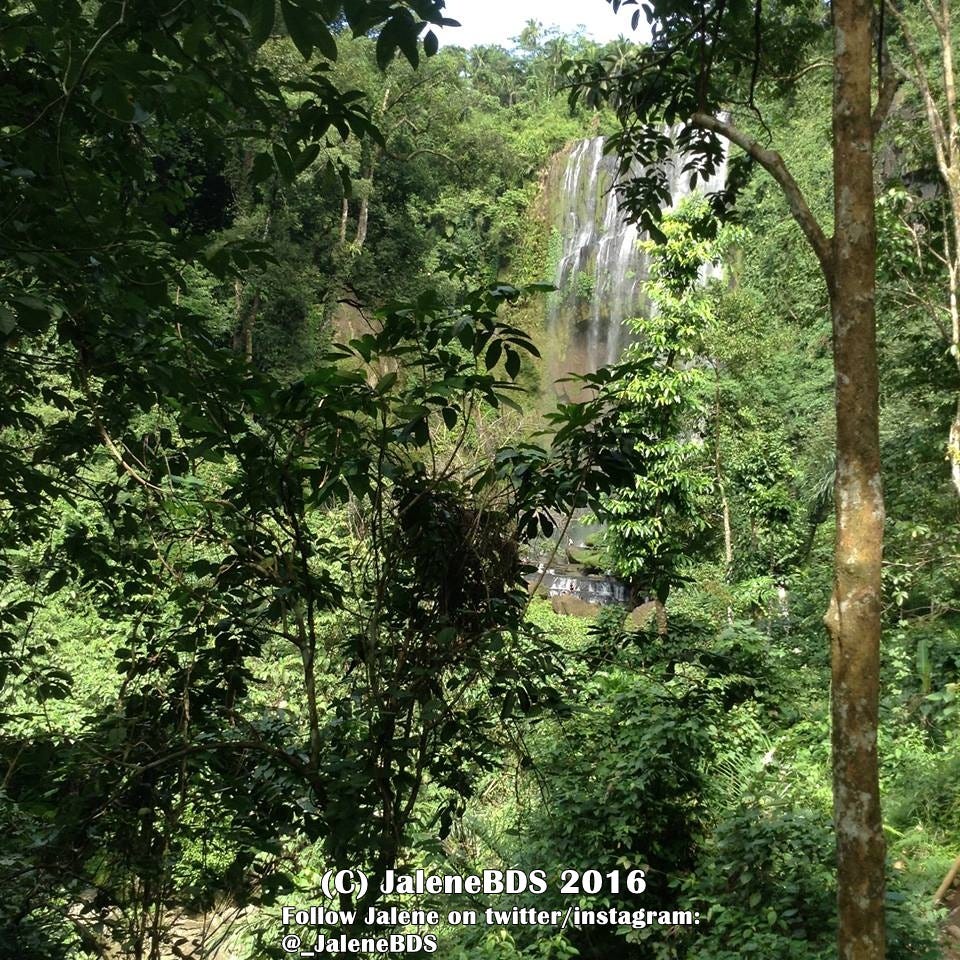 Hulugan Falls: Exploring the Hidden Falls of Laguna | by The Wisdom ...