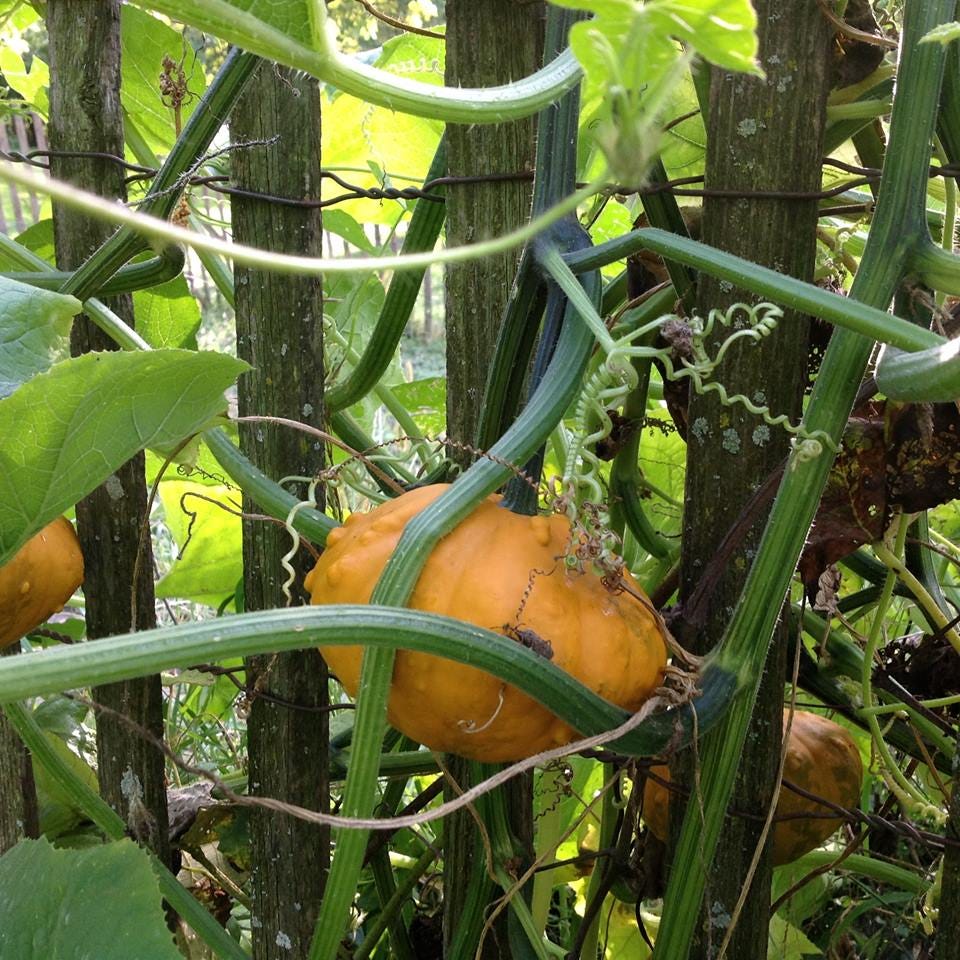 Random Moment. When you are a teensy bit OCD and that… | by Randomly Me ...