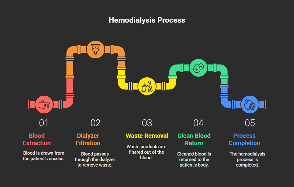 Hemodialysis. 💉 Hemodialysis: What It Is & Why It… | by Syed Hussain ...