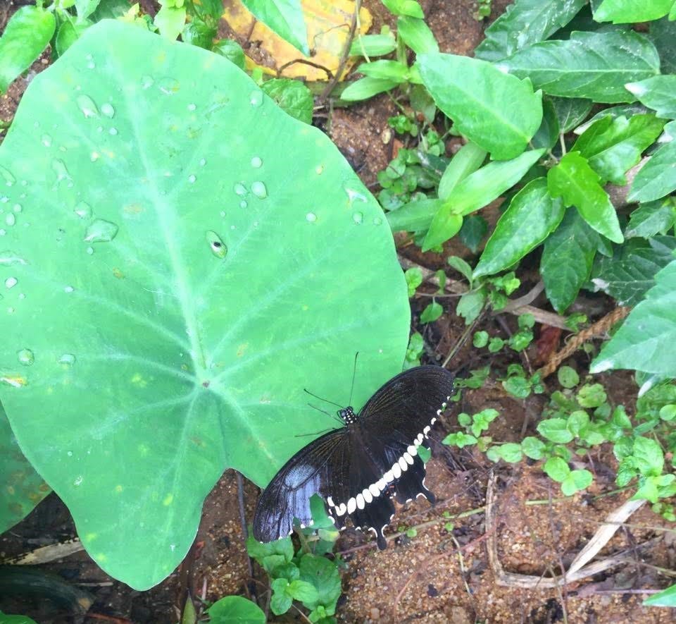 Photography- capturing your world through a tiny lens :) | by Cs Divya | Introvert Diary | Jun ...
