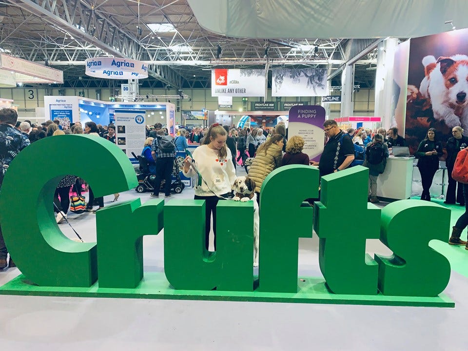 Crufts 2019. In March, 2019 I attended Crufts as a… | by Nicole ...