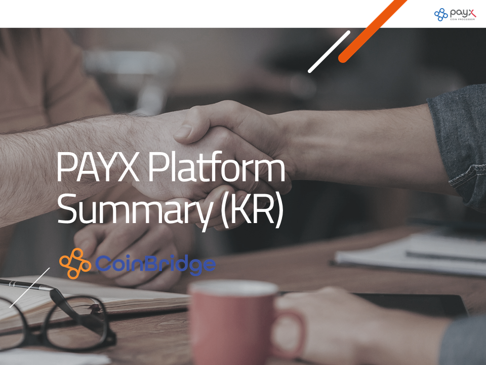 PAYX Platform Summary (KR) | by PayX Official | Medium