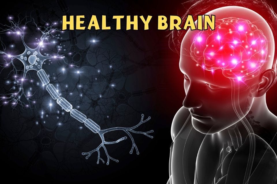 How to Start a Healthy Brain Regimen | by Soufianelkaid | Aug, 2023 ...