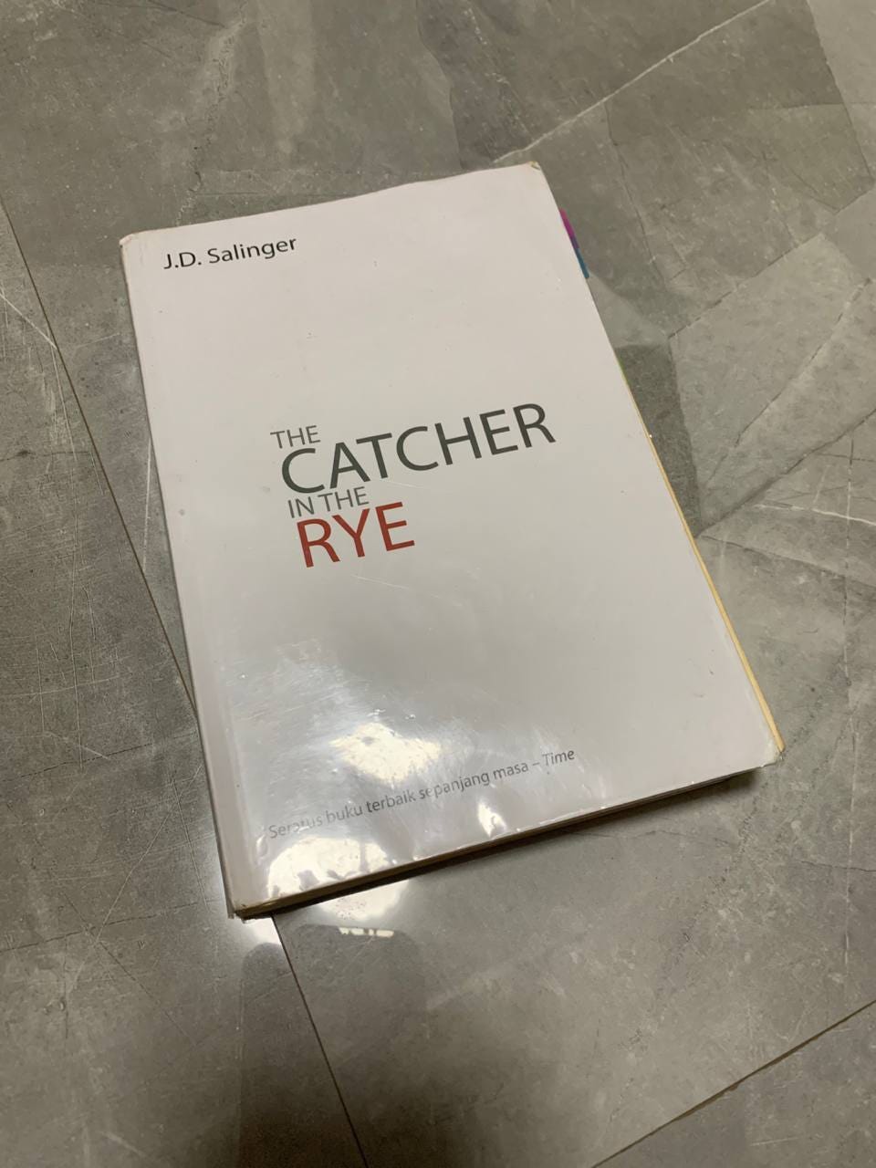 BUKU YANG DIGEMARI PARA PEMBUNUH: REVIEW NOVEL THE CATCHER IN THE RYE ...