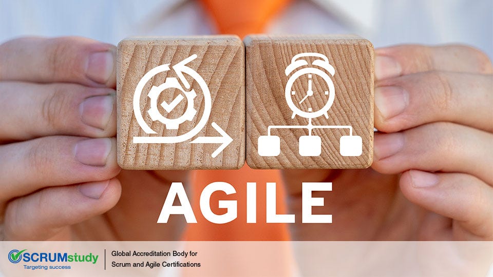 An Agile Master Program: Elevating Agile Expertise for Professionals ...