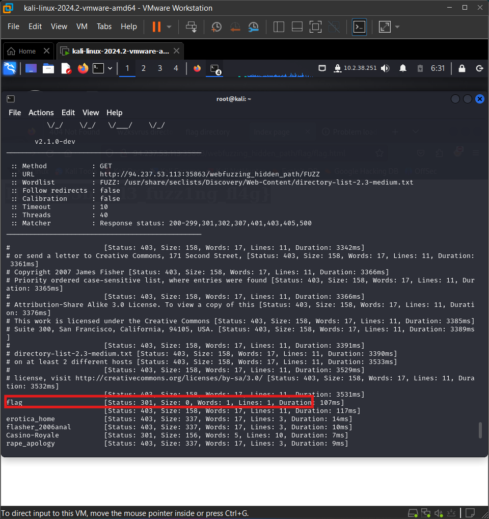 Web Fuzzing | write ups. Directory and File Fuzzing | by Hamidimahdi | Aug, 2024 | Medium