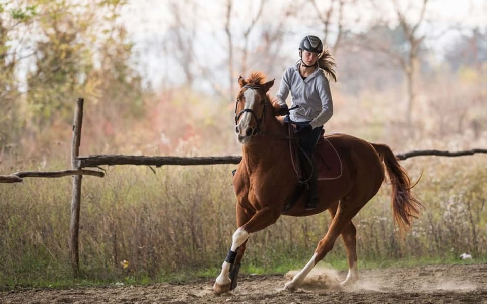 For More Details To Visit https://www.thrillophilia.com/tours/horseback ...