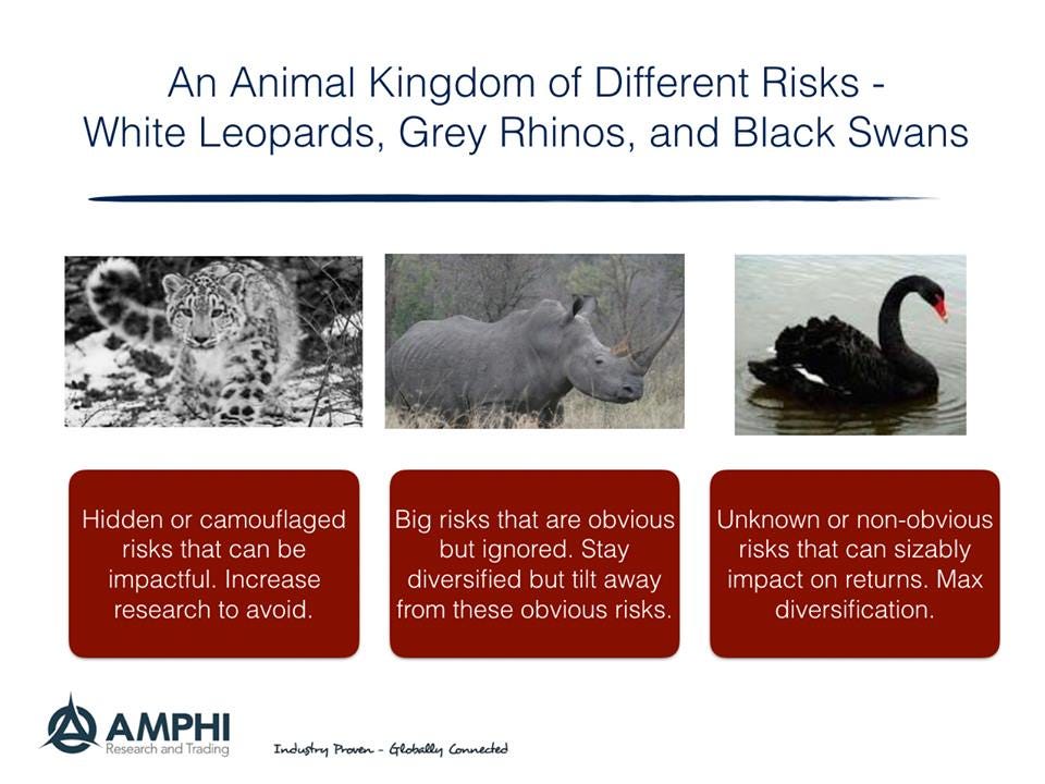 An Animal Kingdom of Different Risks | by cway investment | cw-quantlab ...