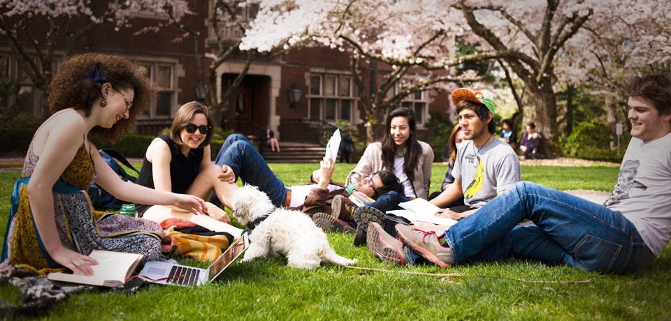 Modern College, Week 6: More Reflection and Tentative Topics | by Kasey ...