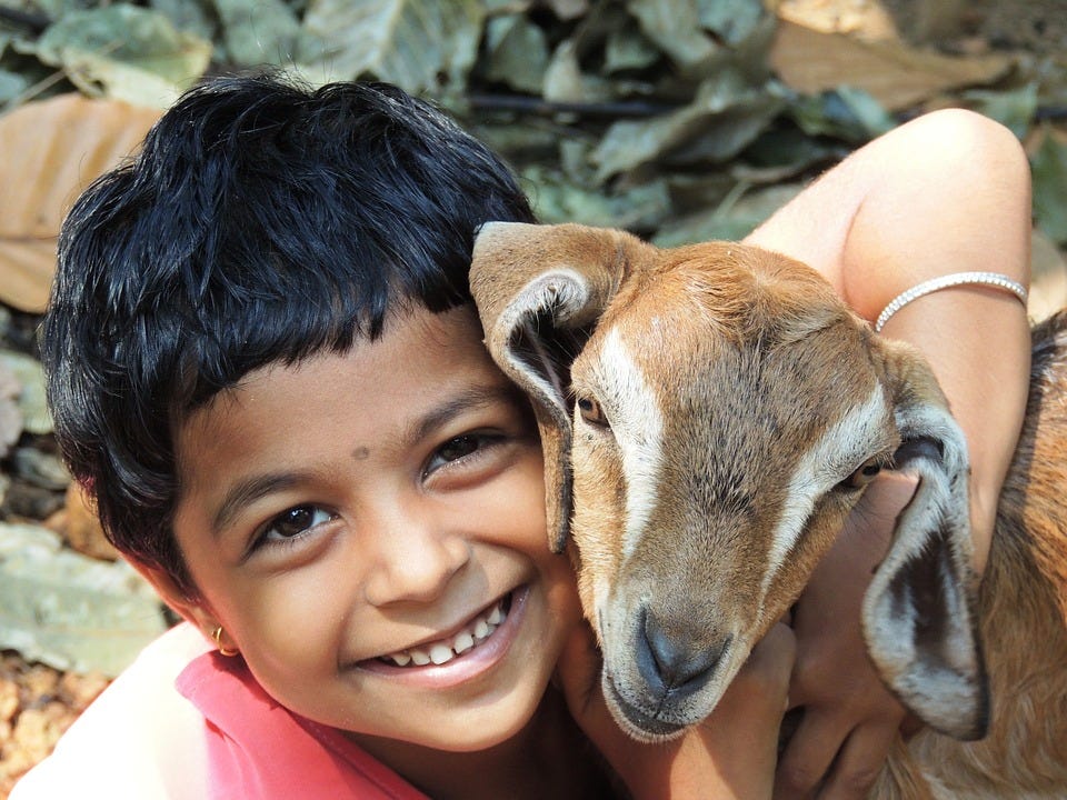 Protecting People Means Protecting Animals Too | by Philip Lymbery | Medium