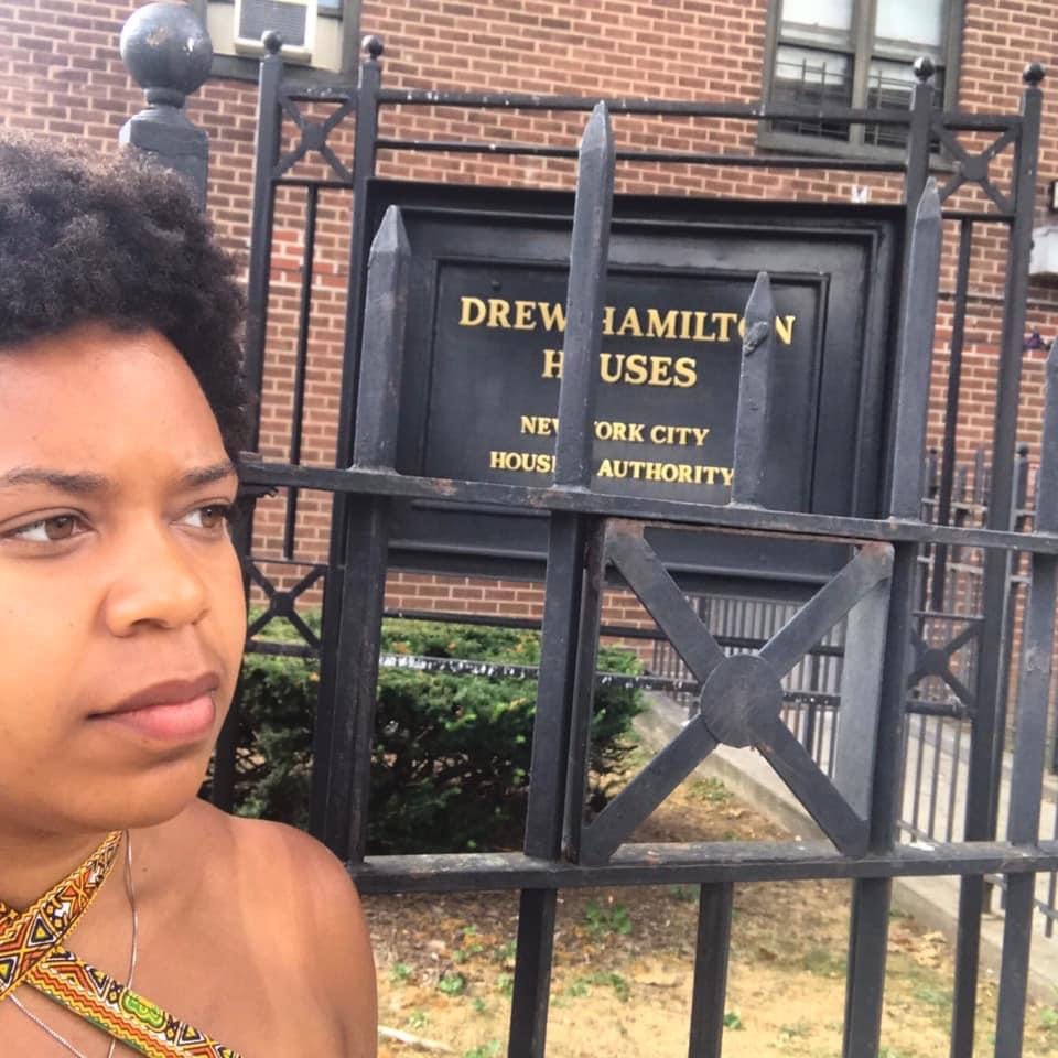11 Crucial Steps to Making Harlem Housing Affordable | by Kristin ...