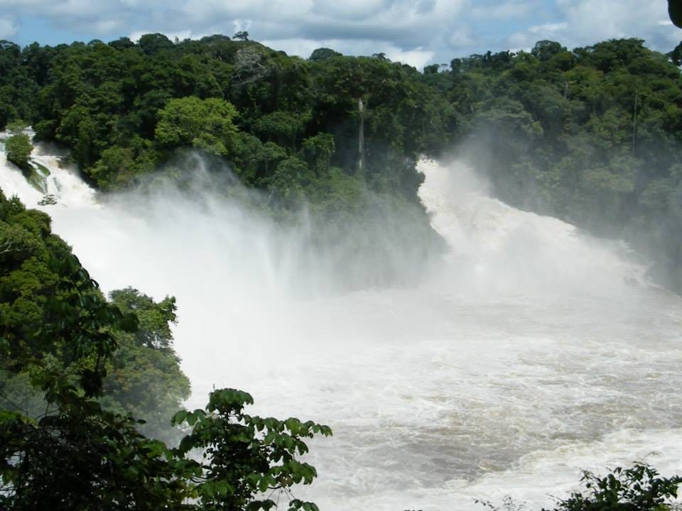 Welcome to Selvático. A peek into the world of wildlife and… | by ...