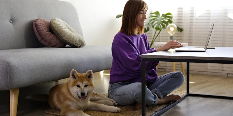 3 Ways To Keep Your Hardwood Floors In Top Shape With Pets | by Carpet ...