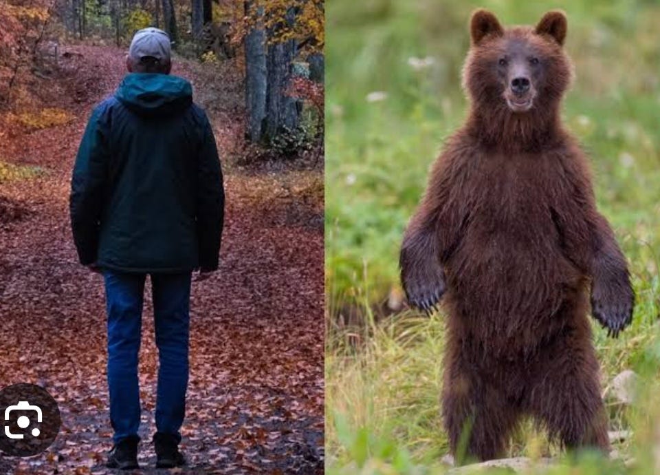 A Man Or A Bear? | by Zainab Malik | Jun, 2024 | Medium