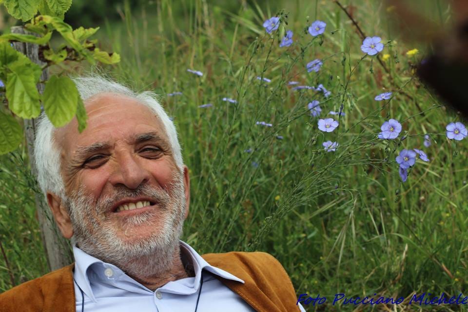 La natura che cura. sabato 2 settembre 2017. Ore 21,30 | by Giovanni ...