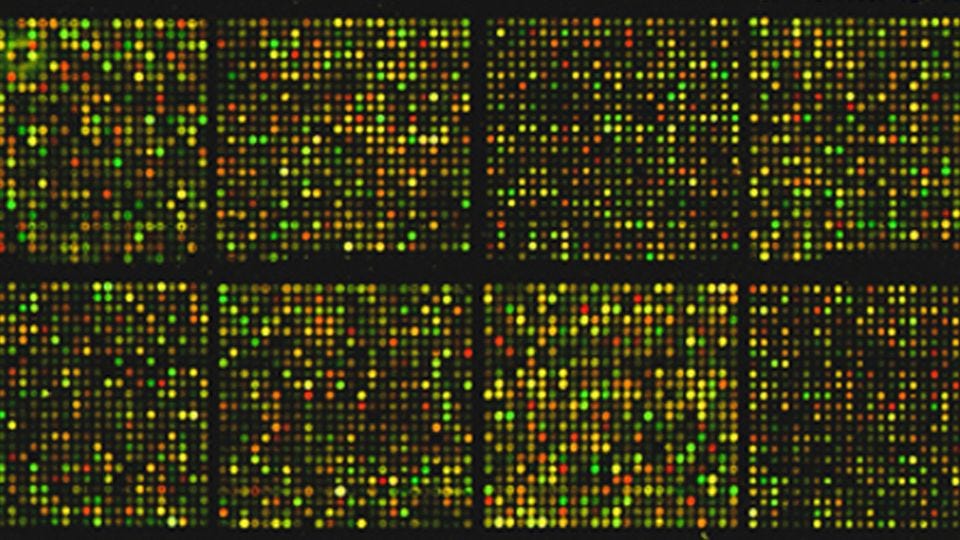 Machine Learning for DNA Microarrays: Transforming Genomic Data into Actionable Insights | by ...