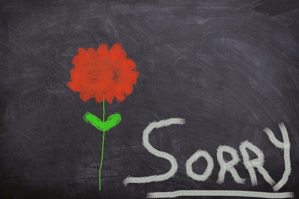 Six Steps to a Better Apology. The point of an argument isn’t to be ...