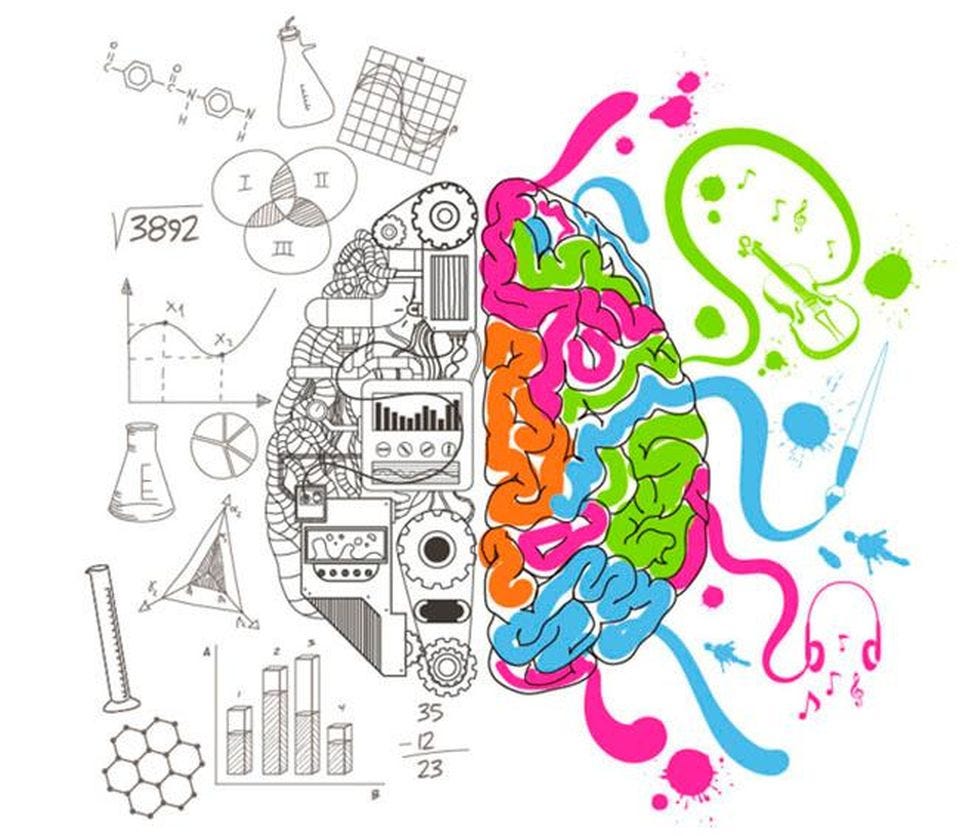 Coding and the Myth of Brain Dominance Theory | by Srishti Nath | Dev Genius