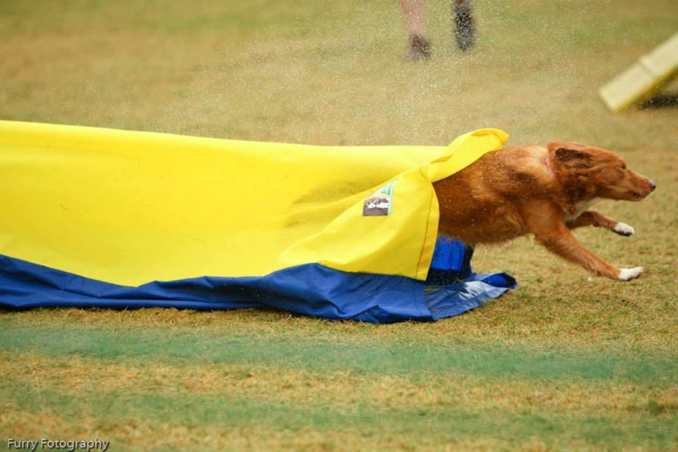 Ding Dong the Chute is Dead. In response to the many safety concerns ...