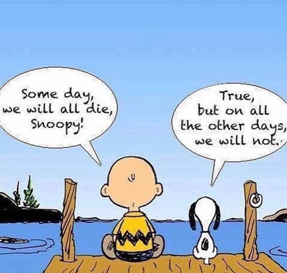 This is deep. This is true. I love this cartoon’s message. | by Tony ...