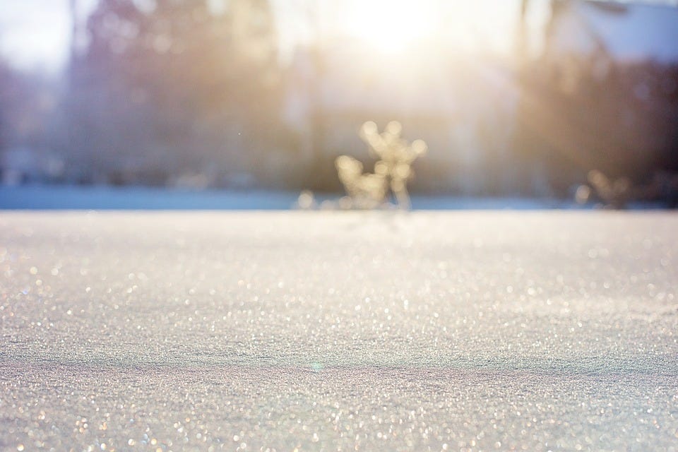 A Pocketful of Hope. In a field of crunchy snow | by Sydney Duke Richey ...