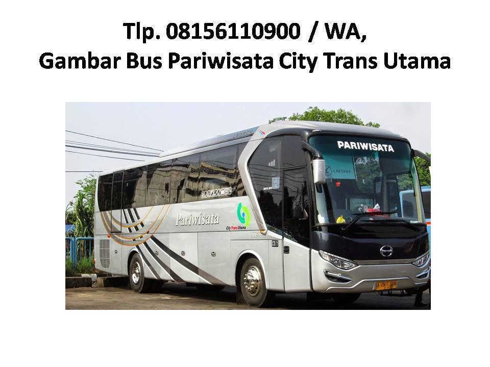 Tlp. 08156110900 / WA, Gambar Bus Pariwisata City Trans Utama | by ...