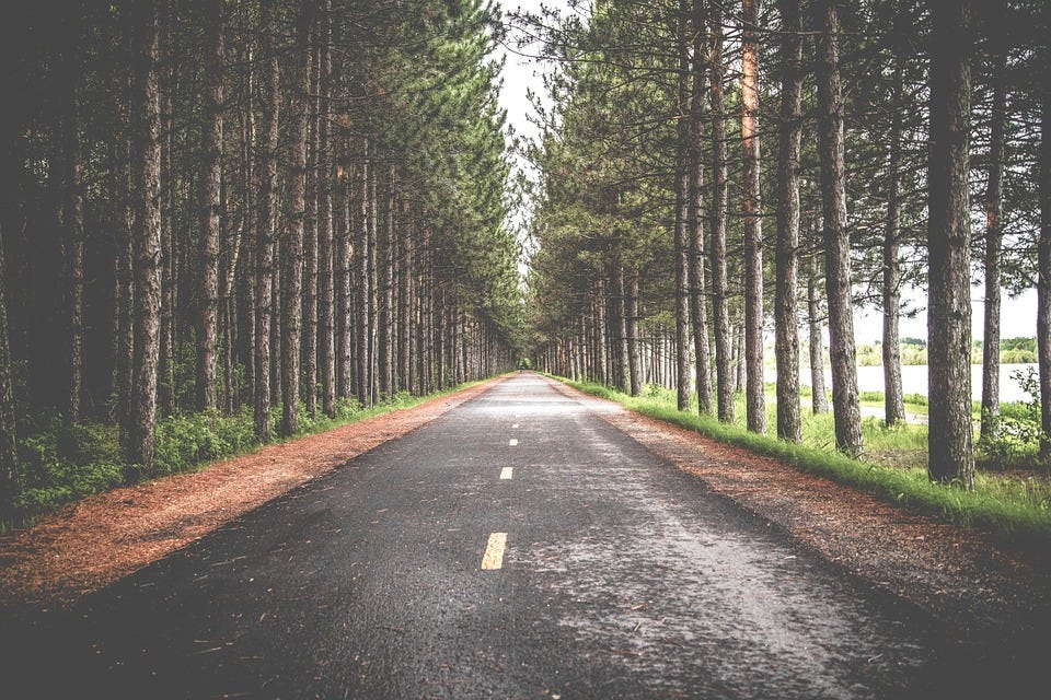 The PurpleBasil Startup Journey: Prologue | by Dhananjai Raja Kuttikad ...