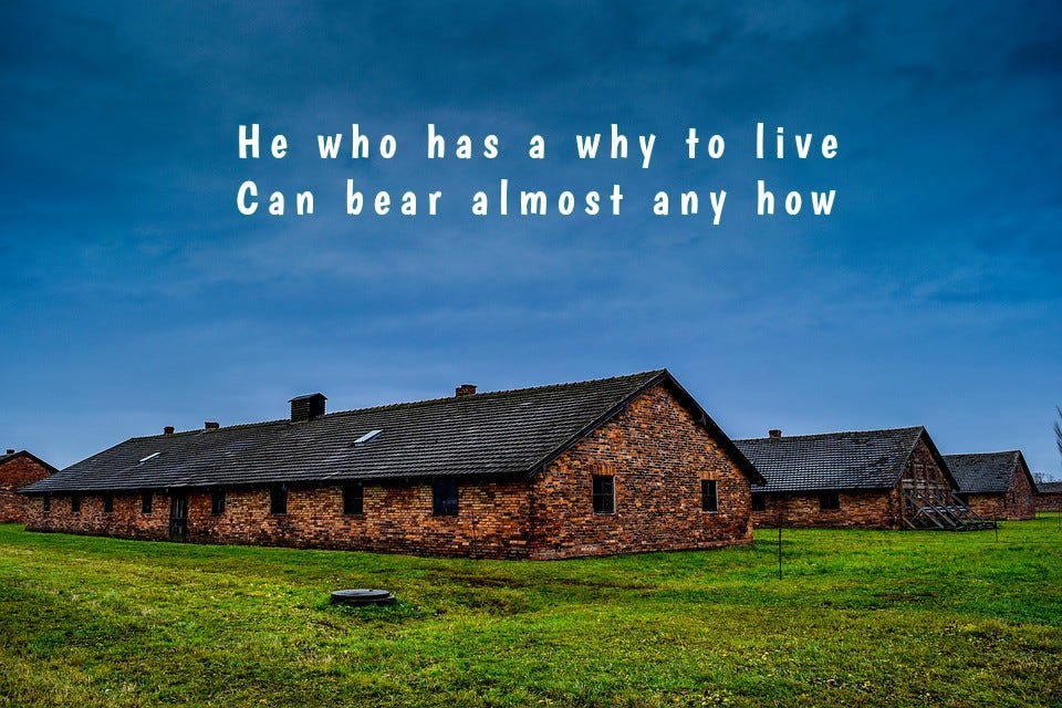 “Those who have a ‘why’ to live, can bear with almost any ‘how’.” | by ...