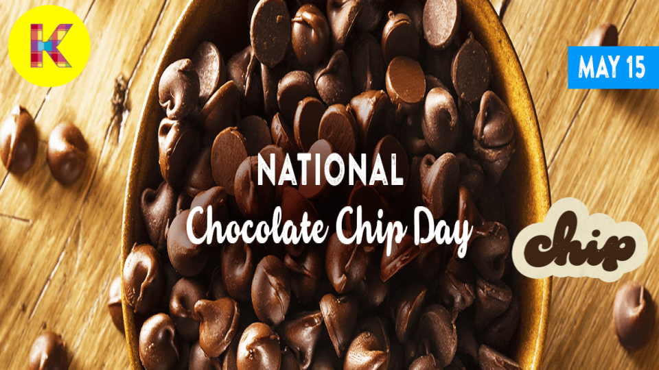😍😋🍪🎉🎊 Hey, it’s National Chocolate Chip day!!! | by Kookloo | Medium