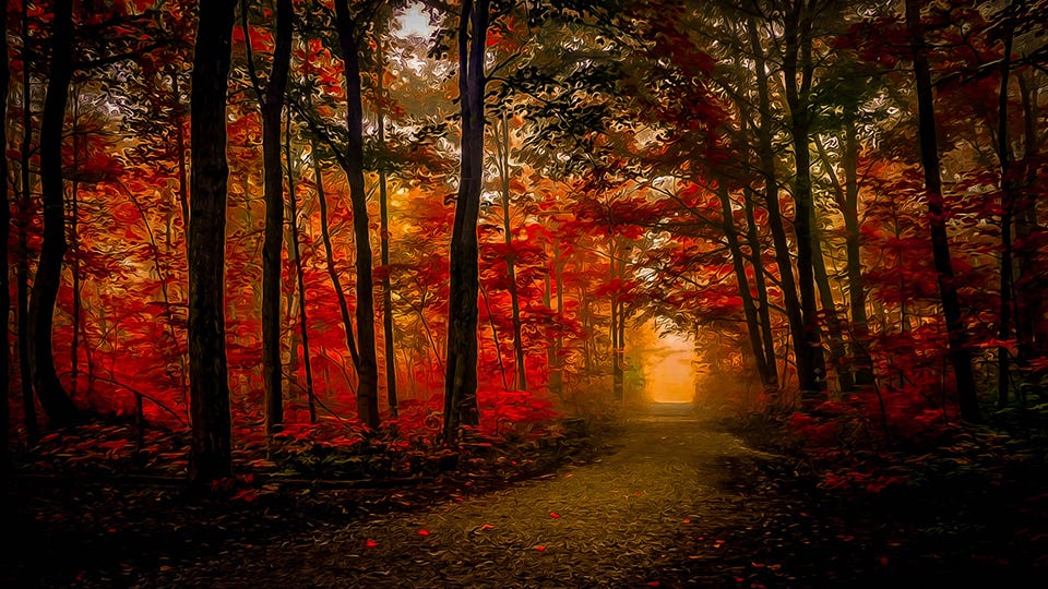 Autumn dawns - Alejandro Werther - Medium