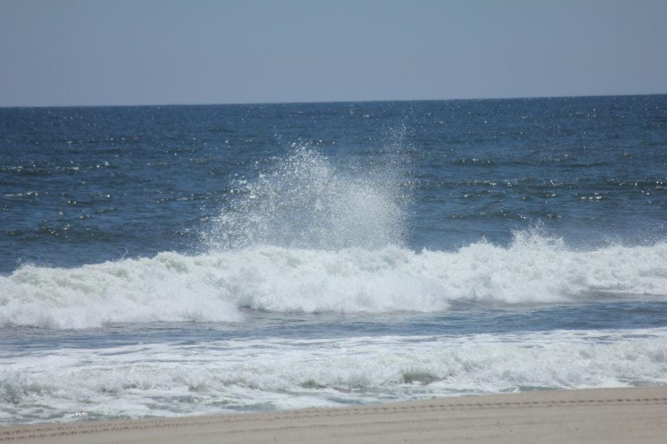 Branding. Building your personal brand. | by Tom "Norm" Daly | Medium