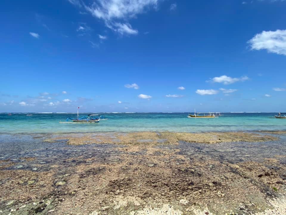 Across The Oceans. I always imagine the vast blue skies… | by zaturania ...