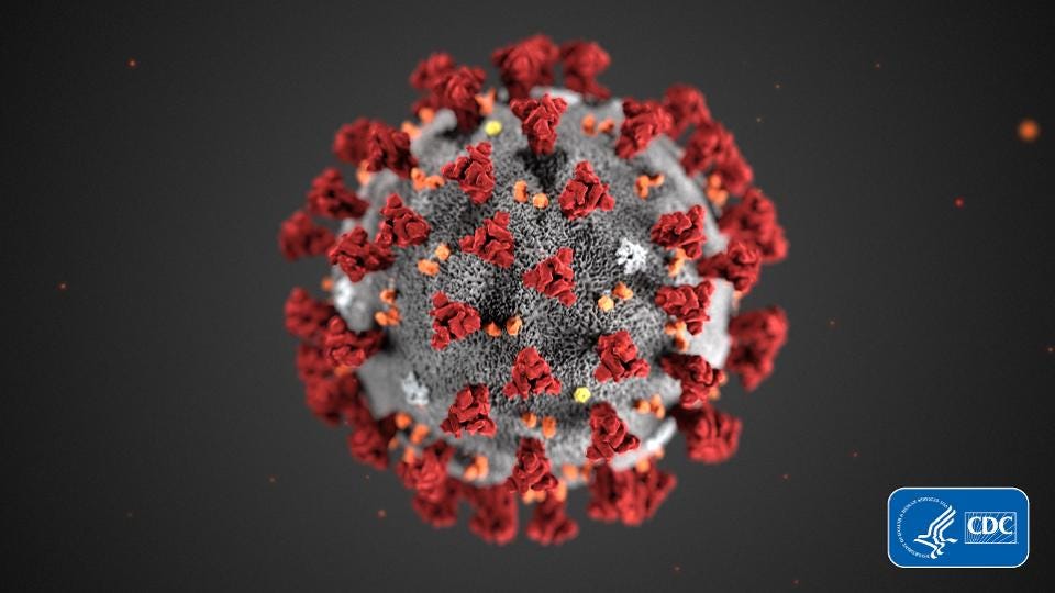 Virus strain and the human strain. | by Minish Tera | Medium