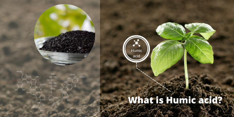 Humic Acids is a by-product of the biodegradation of organic materials ...