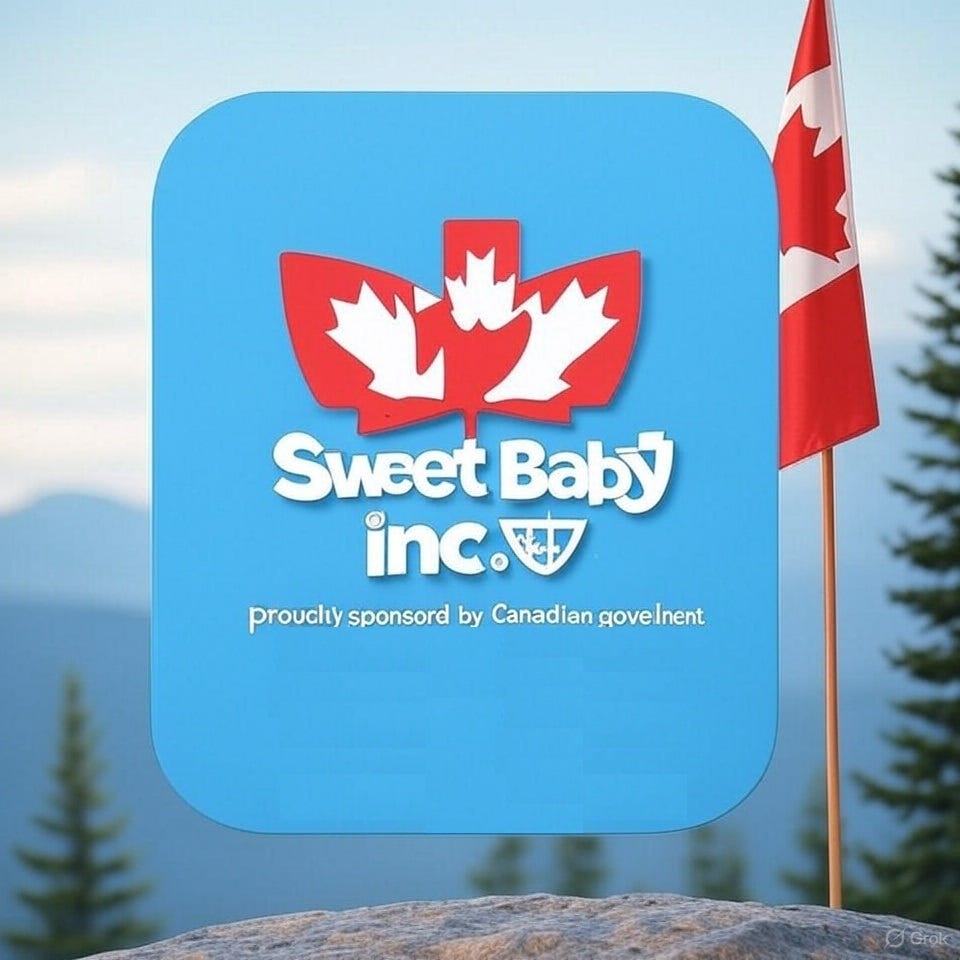 Sweet Baby Inc.: A Small Studio or a Big Government Scheme | by Navin ...