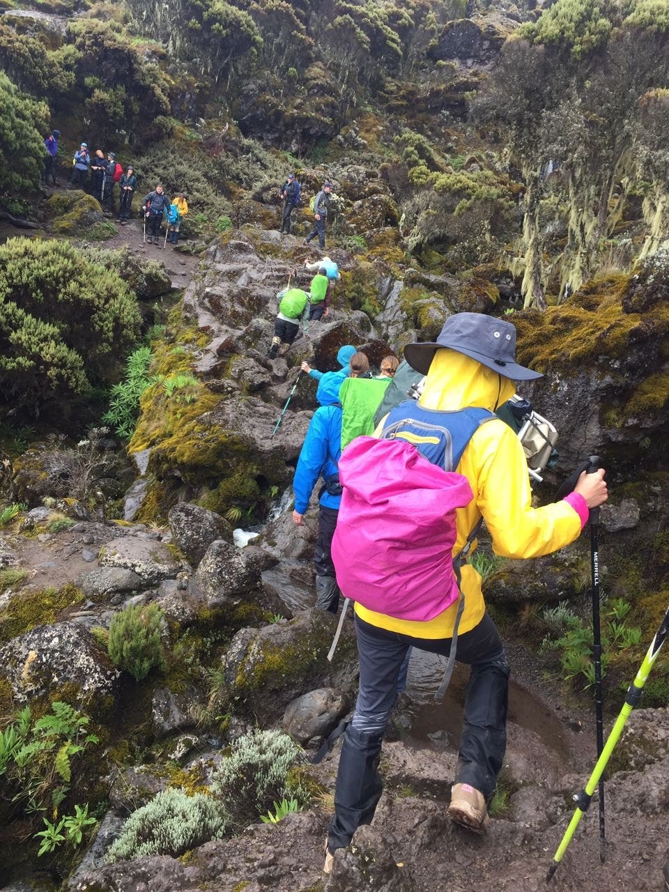 6 days marangu route kilimanjaro climbing The African trek & travel ...