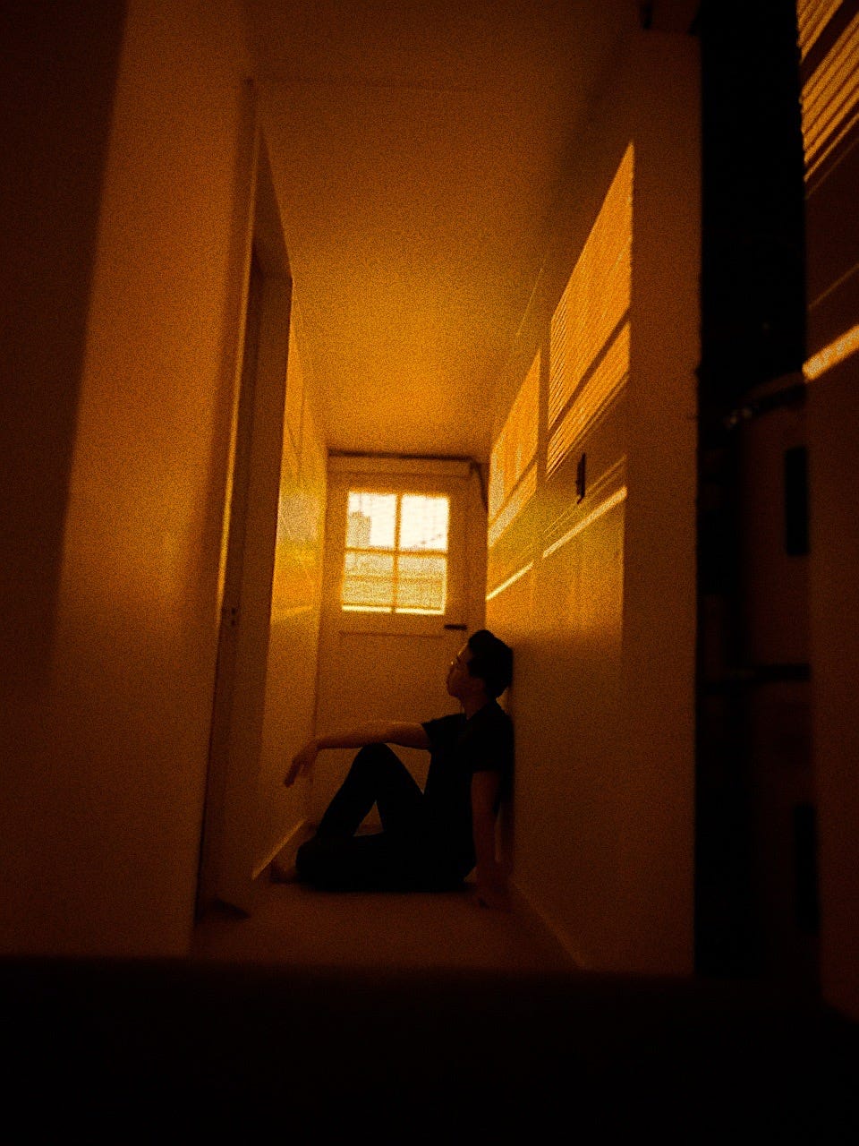 Sparrow Life. Dum Spiro Spero “While I breathe, I… | by Nate Lu (LUN02 ...