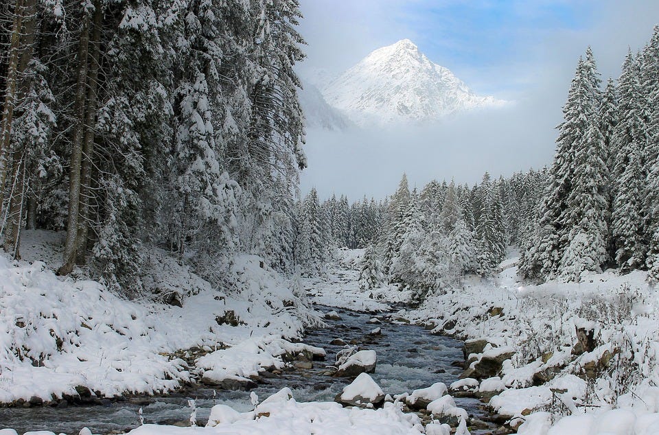 Harnessing the Power of Streams in Snowflake: Unlocking Seamless Data ... Harnessing the Power of Streams in Snowflake: Unlocking Seamless Data ...