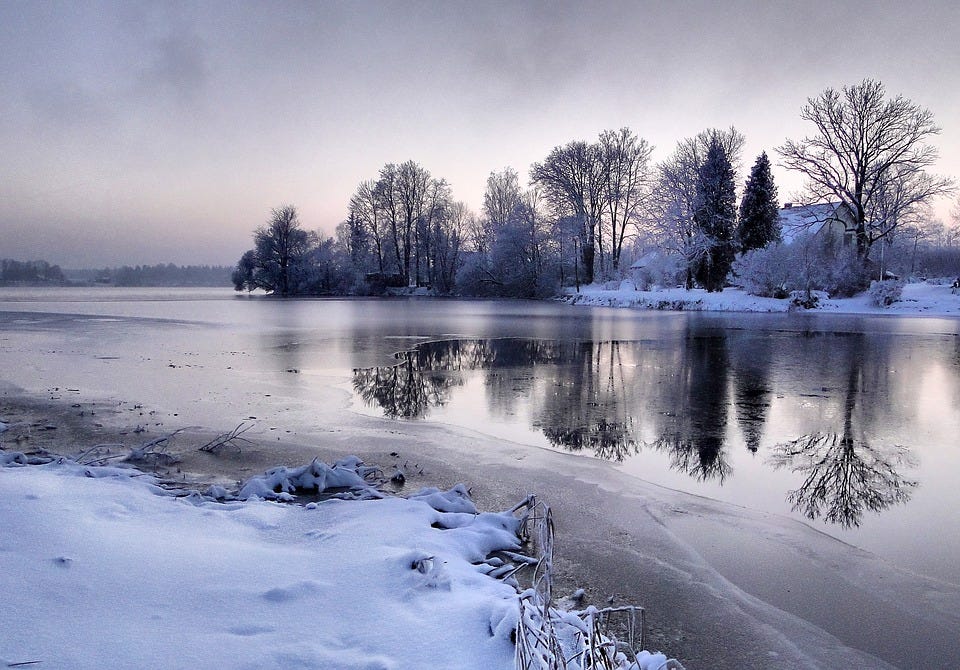Where The Fish Go. A Non-Fiction Story by Kyle Petrie | by Kyle Petrie ...