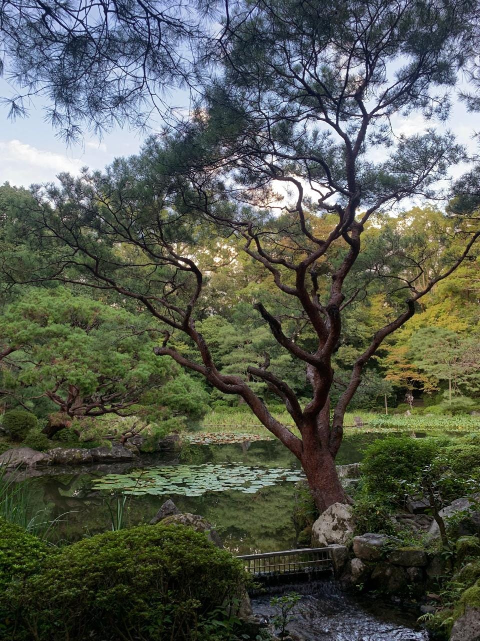 LADY ISCHYROS. Introduction: The Lady of The Garden | by Adhisty ...