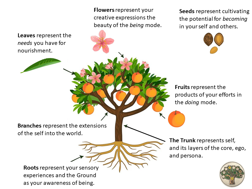 UTIK-UTOK Part III. Cultivating the Theory of the Tree in… | by Gregg ...