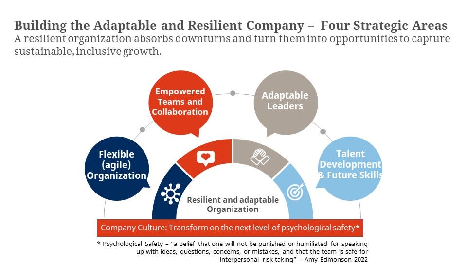How to Build an Adaptable and Resilient Business: Four Action Areas | by Karl-Ludwig Knispel ...