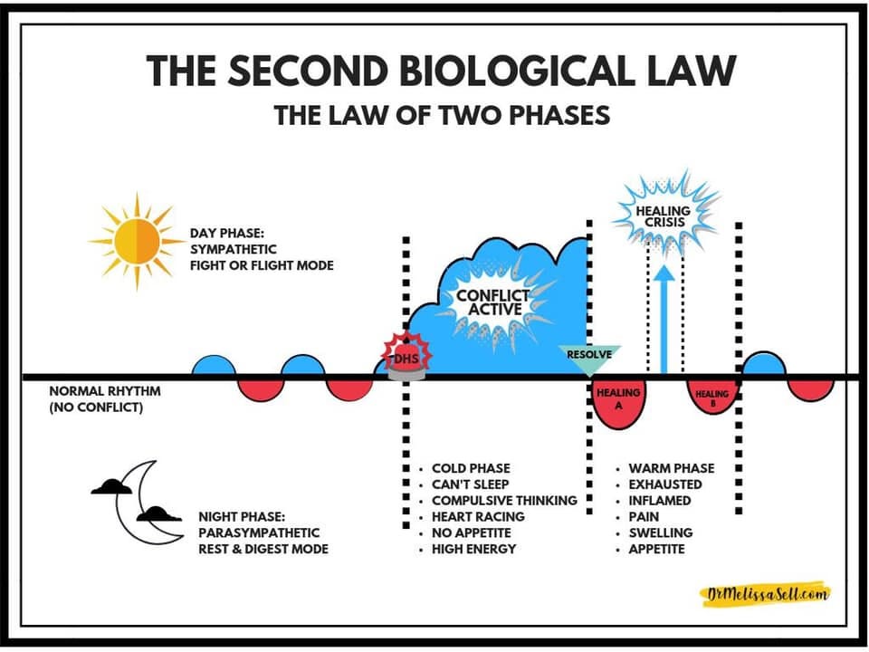 German New Medicine: The Second Biological Law | by Dr. Melissa Sell ...