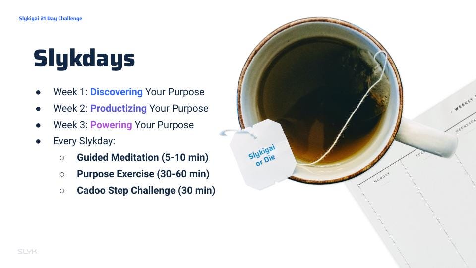 My Slykigai or Die Journey. 21 Days to Discover, Productize, and… | by ...
