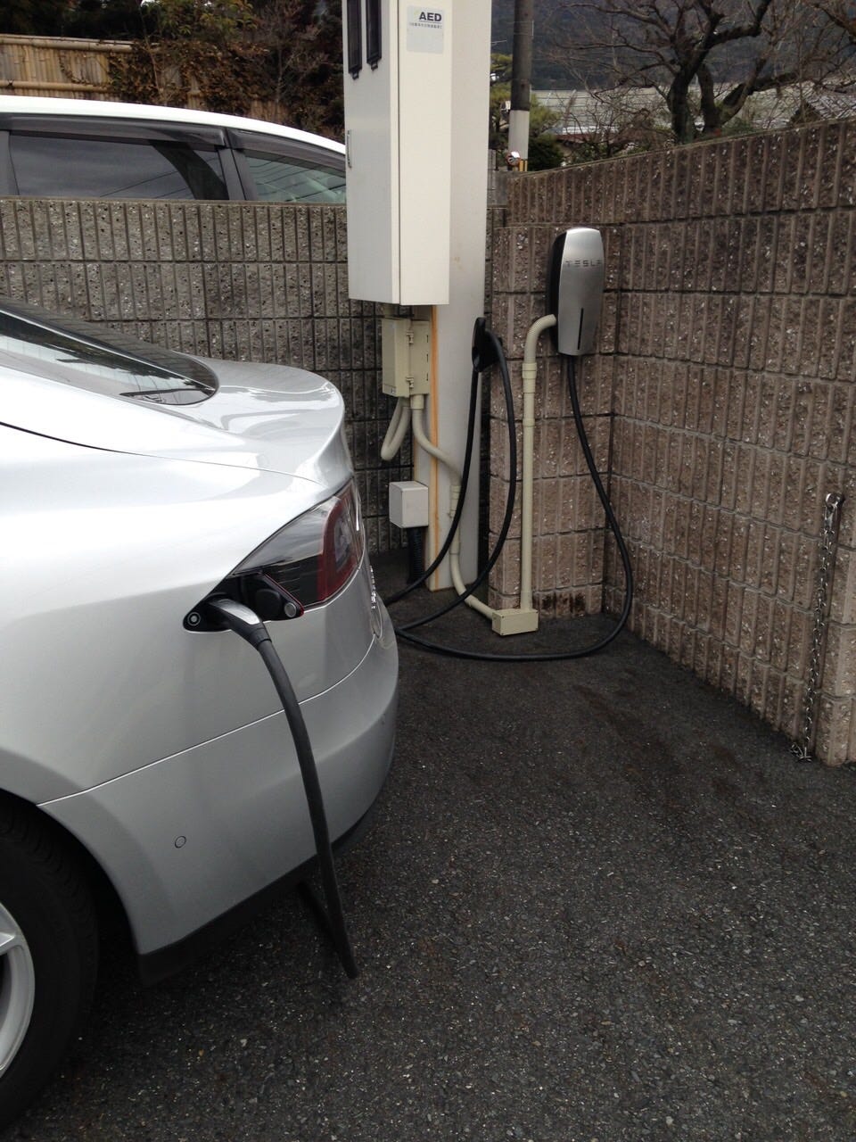Rare sighting of Tesla in Kyoto sparks interest | by Rupert Sutton | Medium