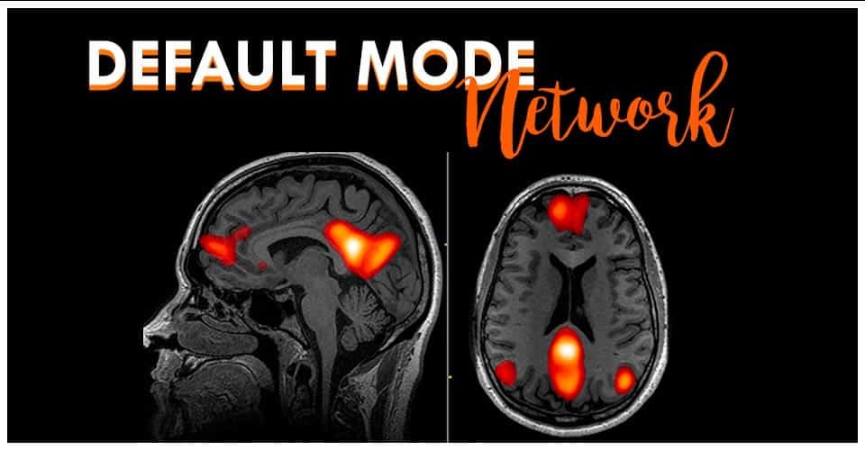 Default Mode Network - Mind Help - Medium