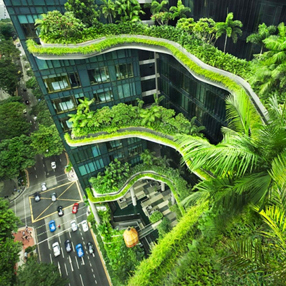 Embracing Nature: The Rise of Biophilic Design in Modern Architecture ...