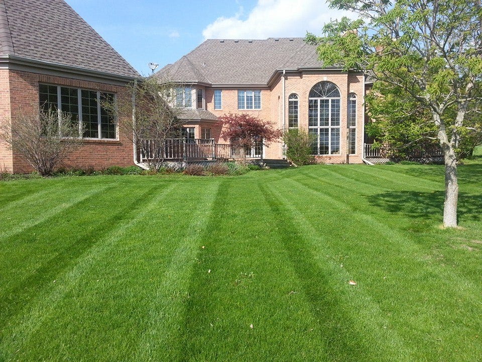 Things You Need to Know about Professional Lawn Care Services | by A+ ...